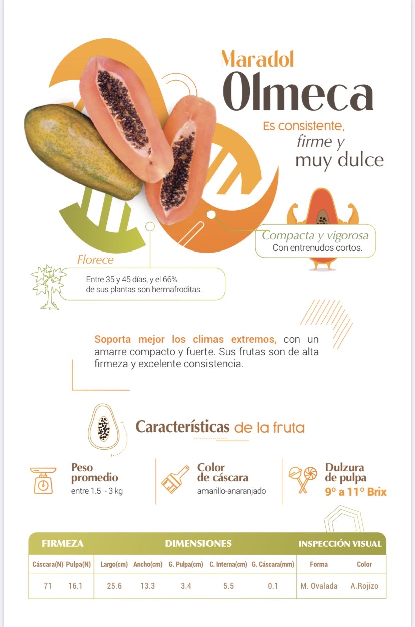 Carigen – Semillas para el Futuro LEM S.A.